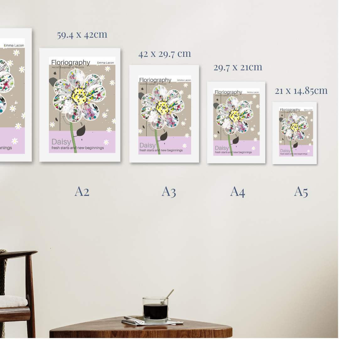 Daisy Floriography poster – Emma Lacon